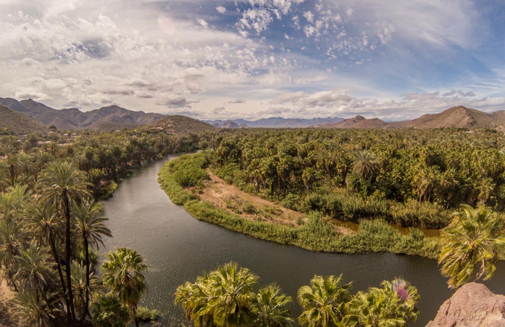 Things to Do – Hey Mulegé!