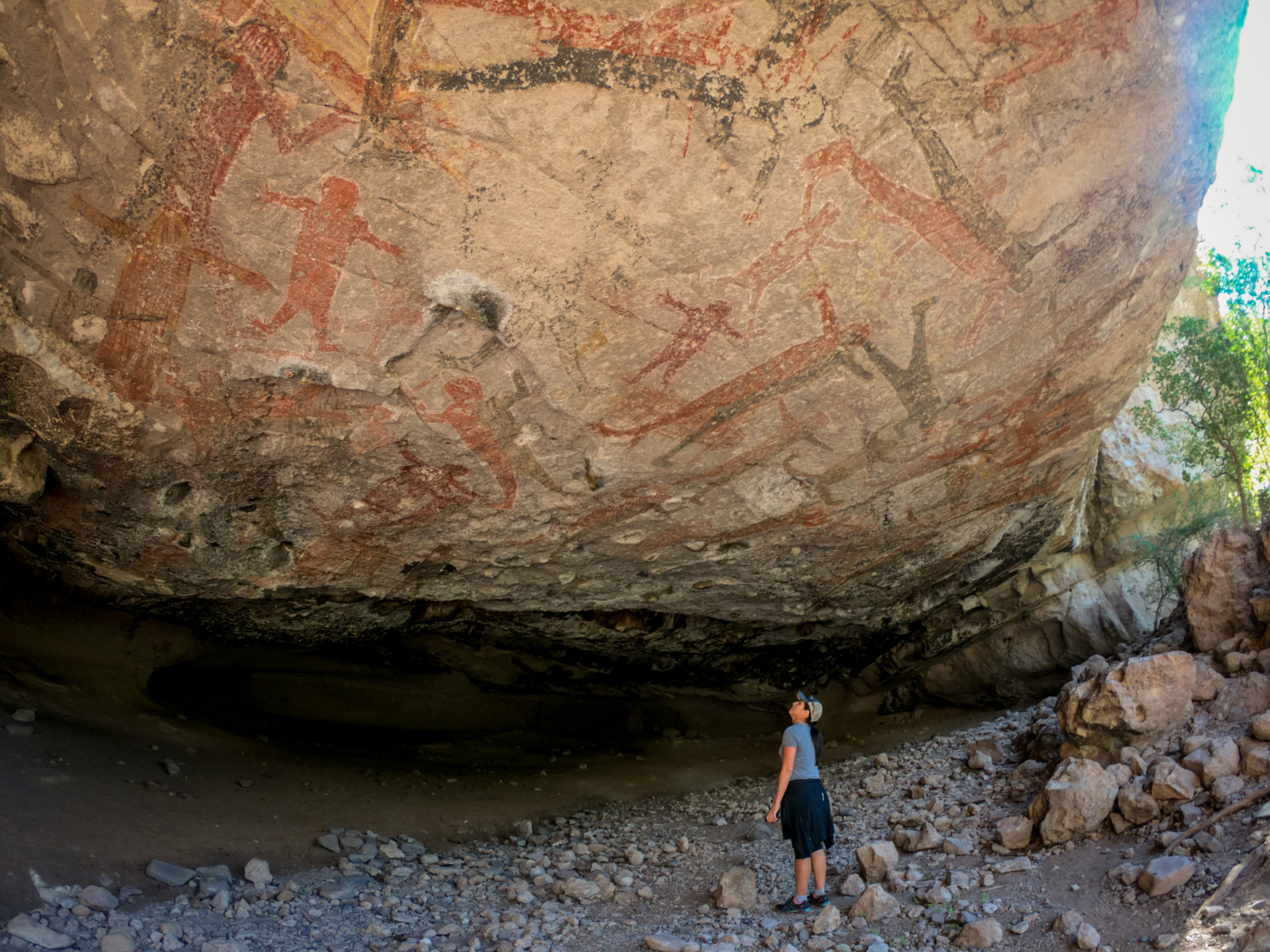 Things to Do – Hey Mulegé!